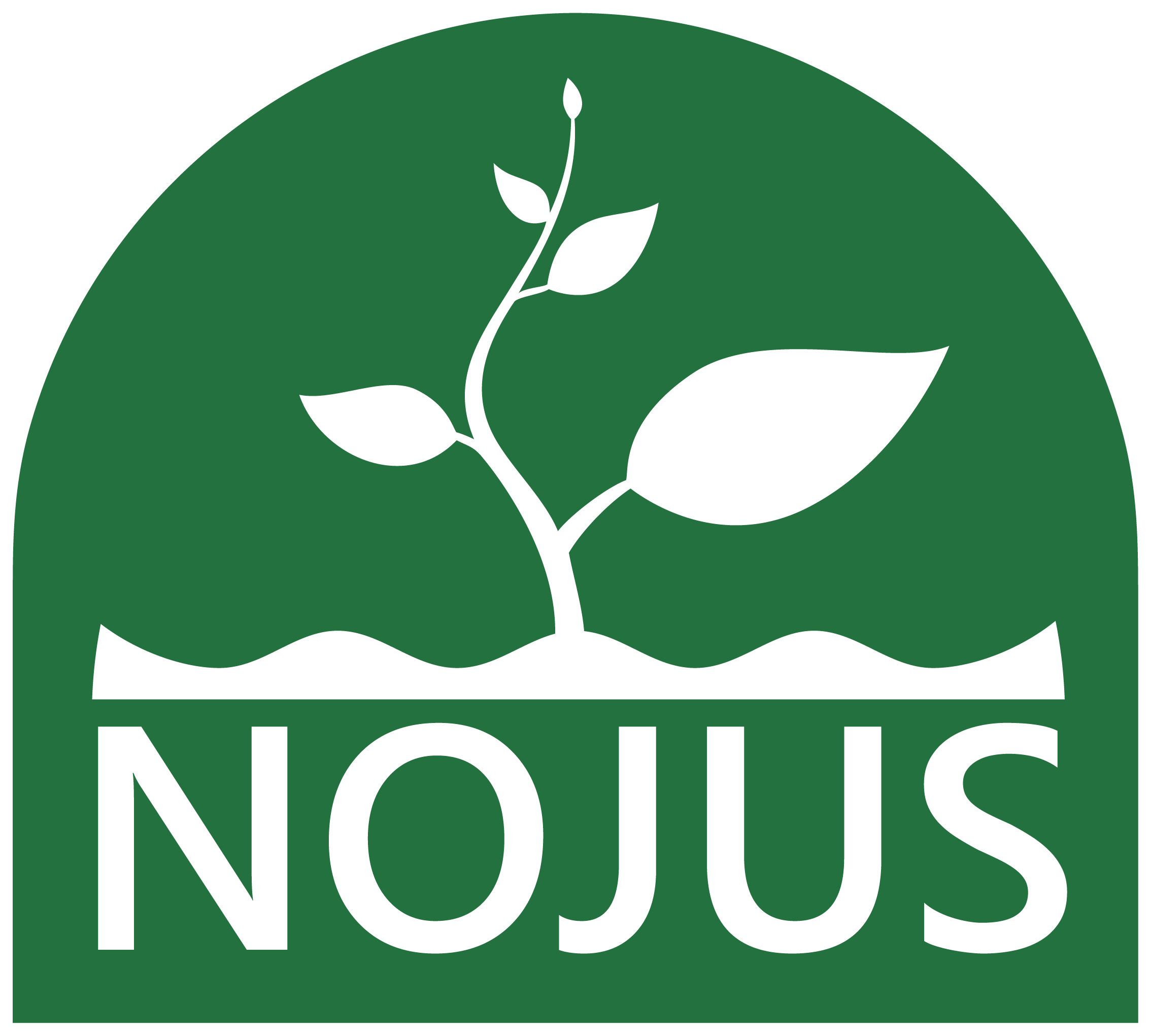 Kukka siemenet | Nojus.shop